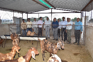 Dr. D.K. Yadava, DDG (Crop Science) visits KVK (ICAR-IIRMR) Bansur | ICAR